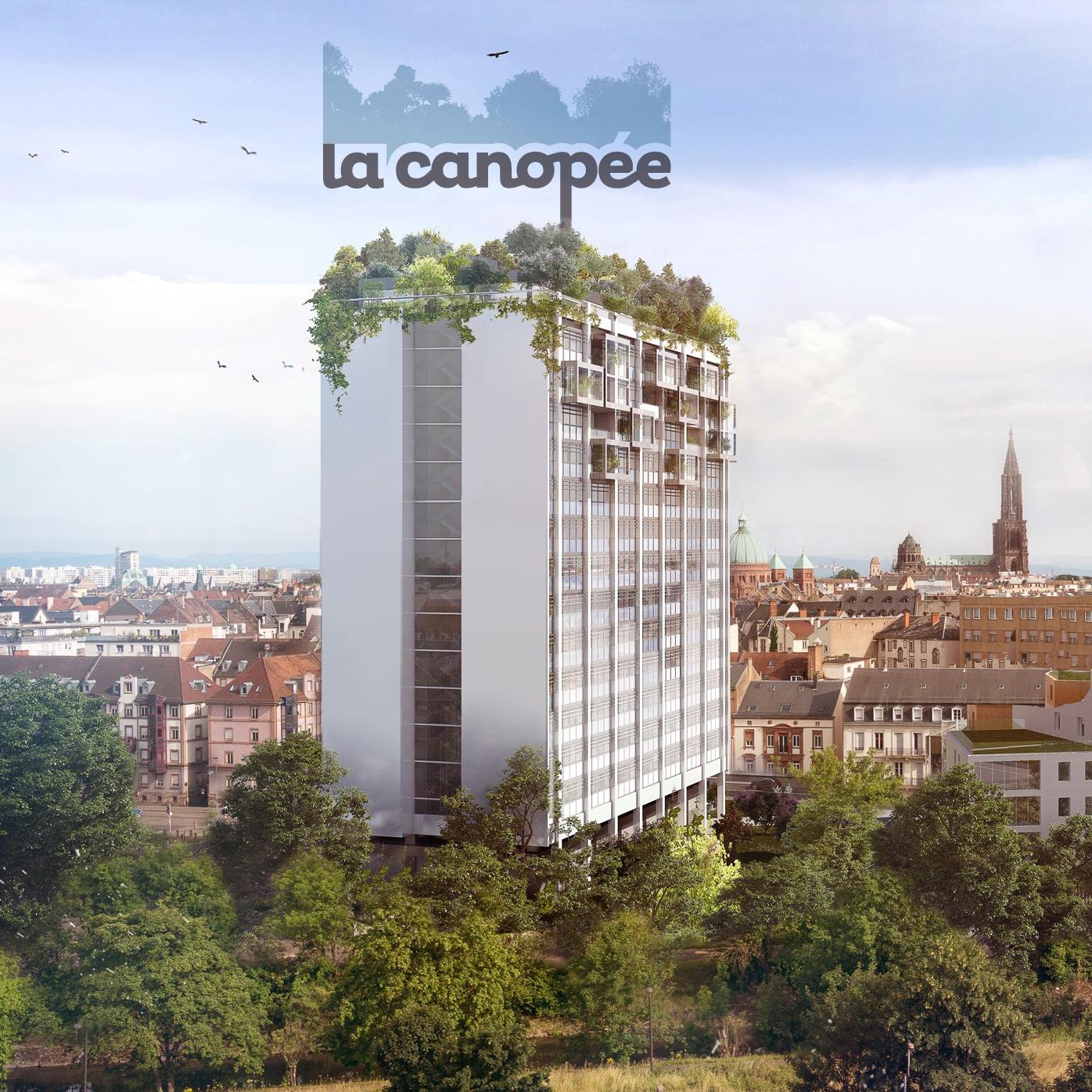 KS groupe : Spécialiste de la construction et de l'immobilier - KS groupe